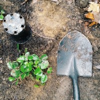 6 Steps to organize a Cache In, Trash Out (CITO) event – Official Blog