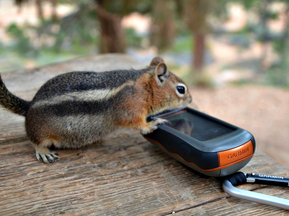 Top 10 geocaching essentials – Official Blog