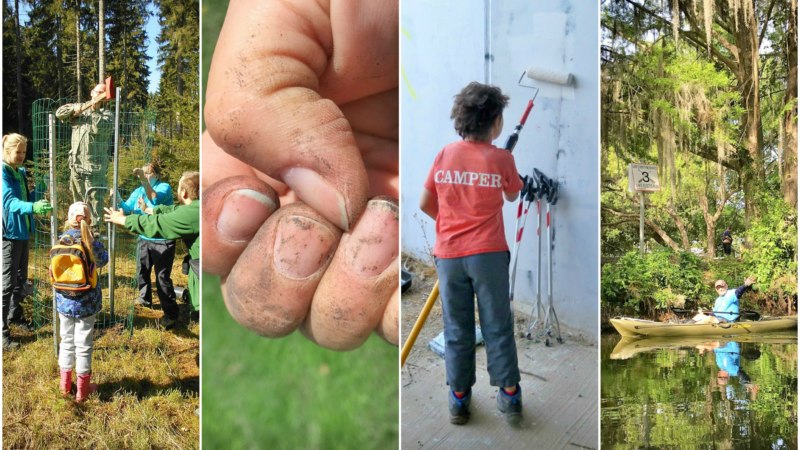 Cache In Trash Out® — 10 Creative Ways to improve your CITO – Official Blog