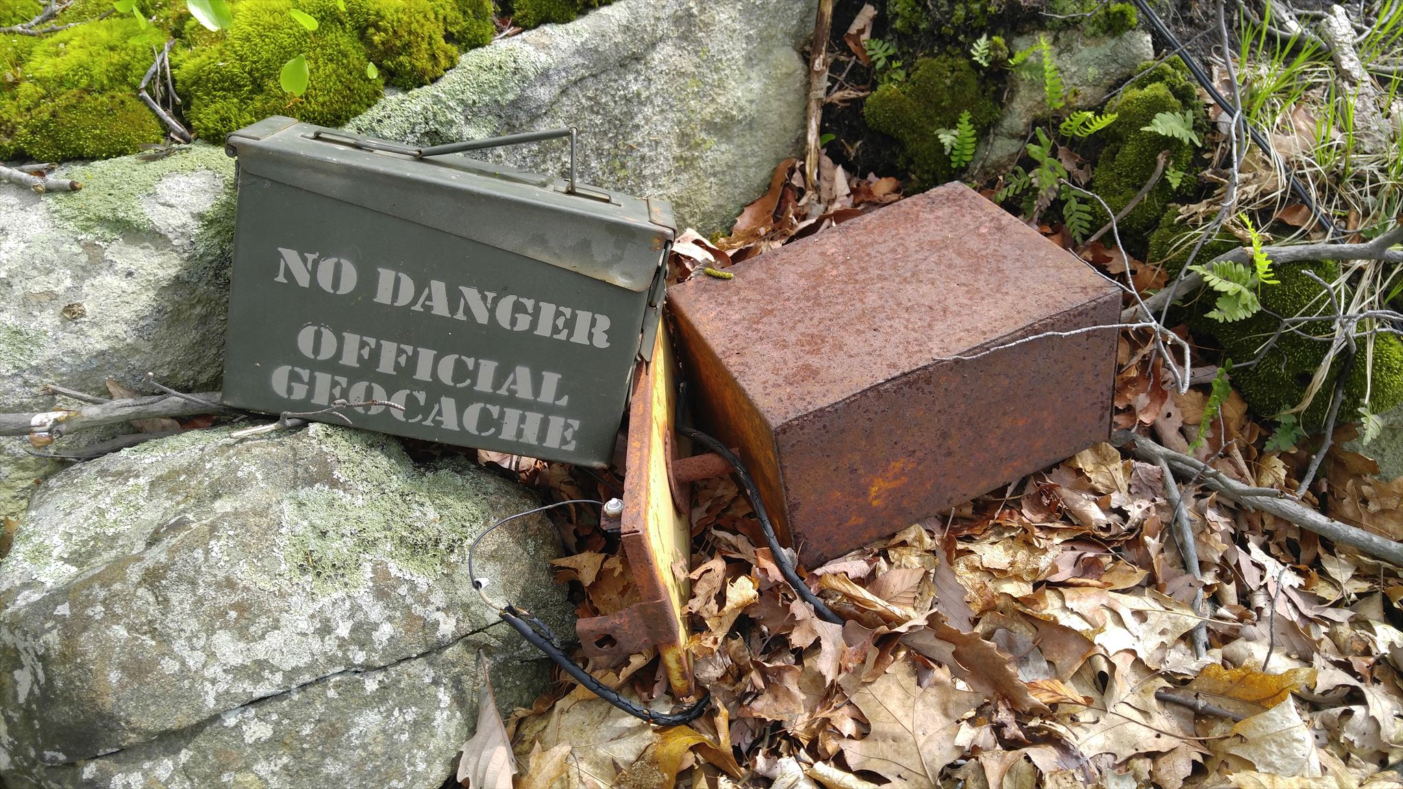 Rock Islands Frying Pan Tree – Geocache of the Week – Official Blog