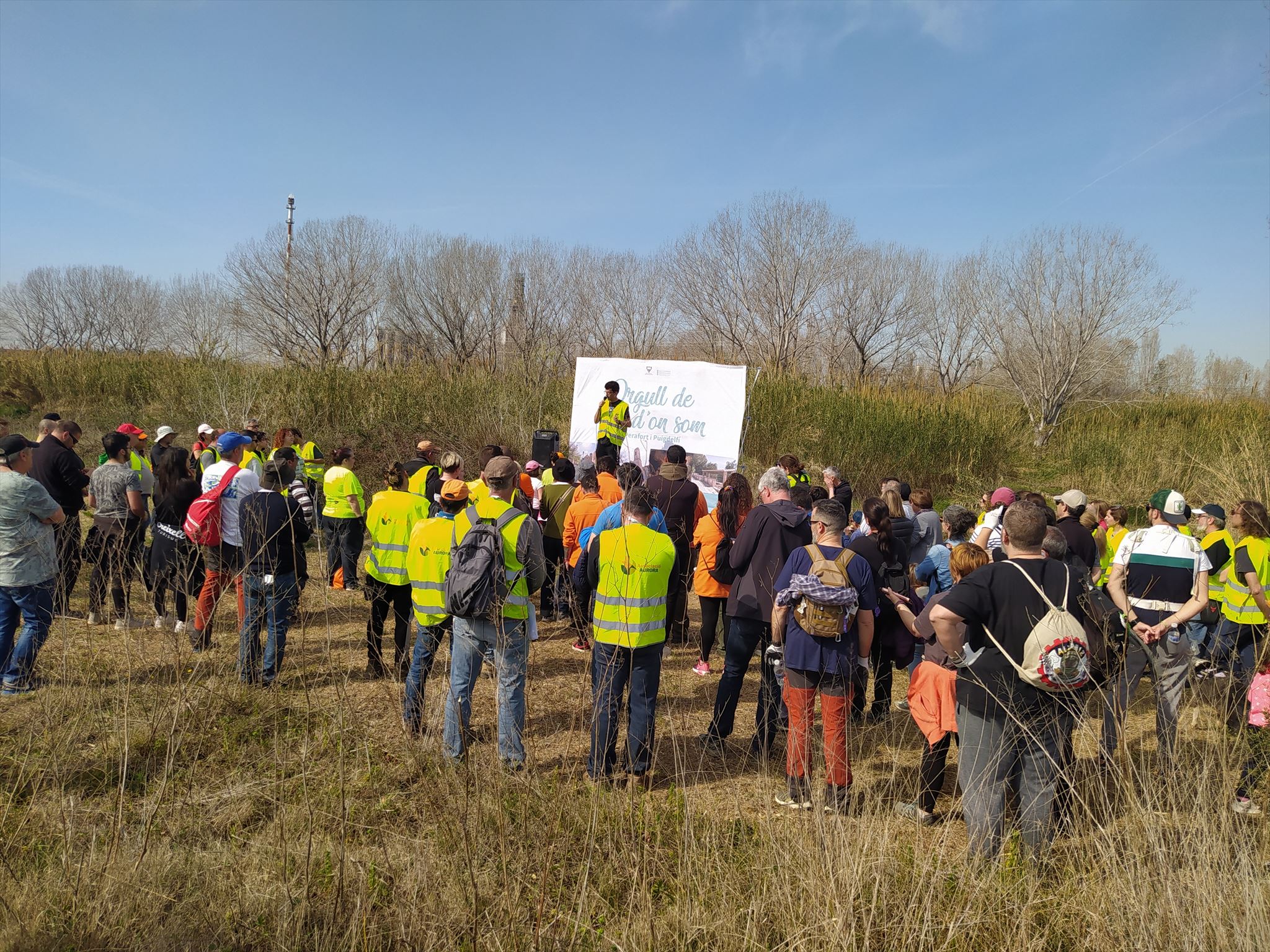 CITO Season 1 Halftime Show! – Official Blog