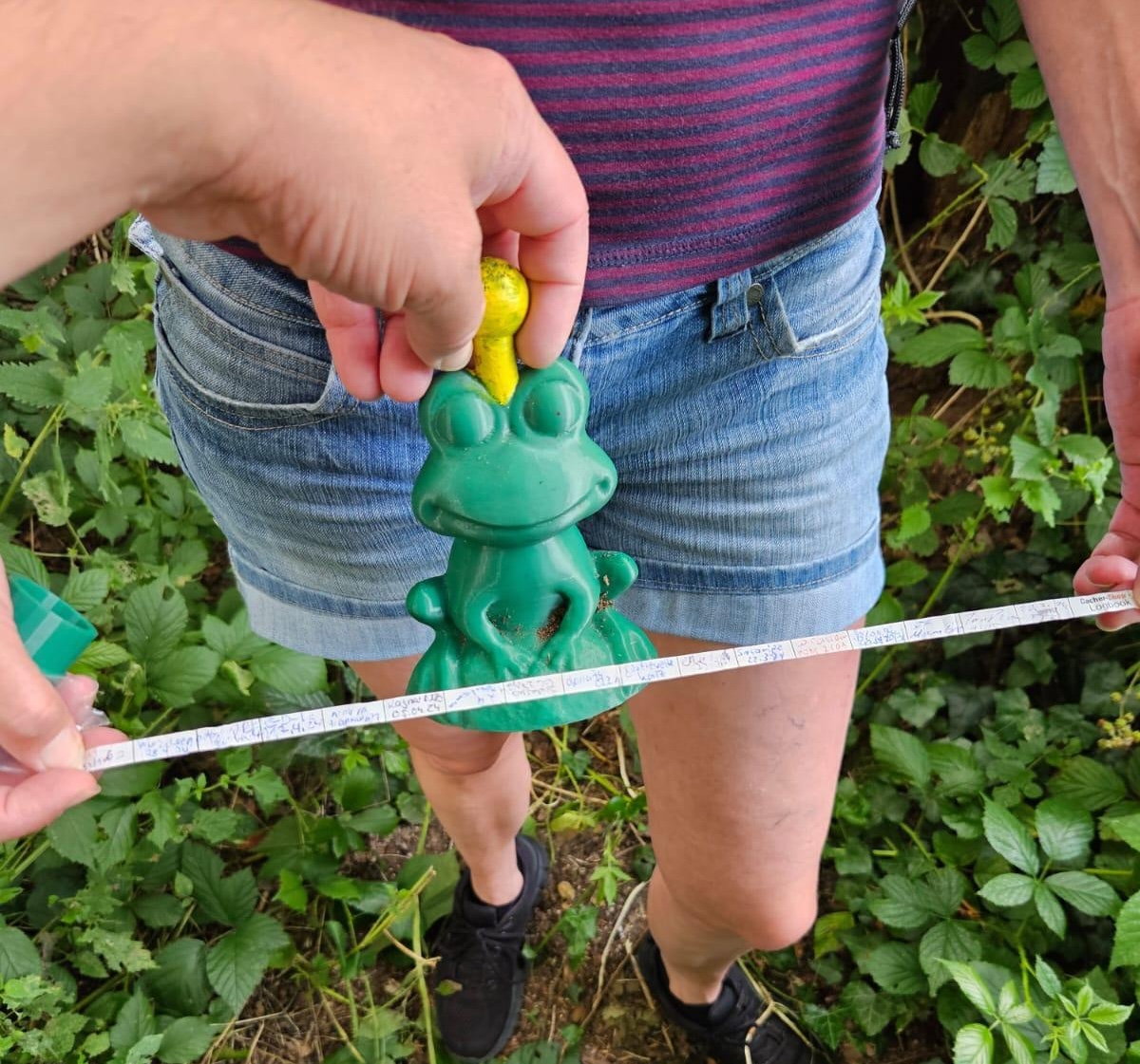 The first 2025 hiding theme: frogs! 🐸 – Official Blog