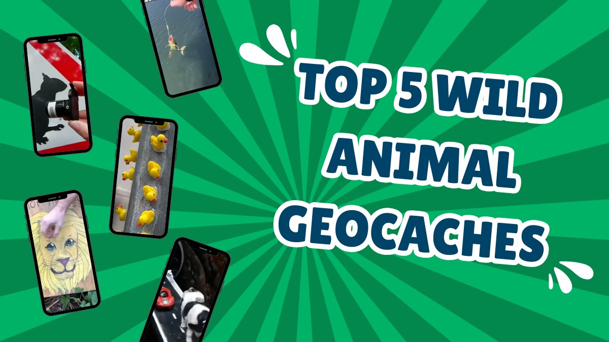 Treasures: a new feature on Geocaching.com and the mobile app ...